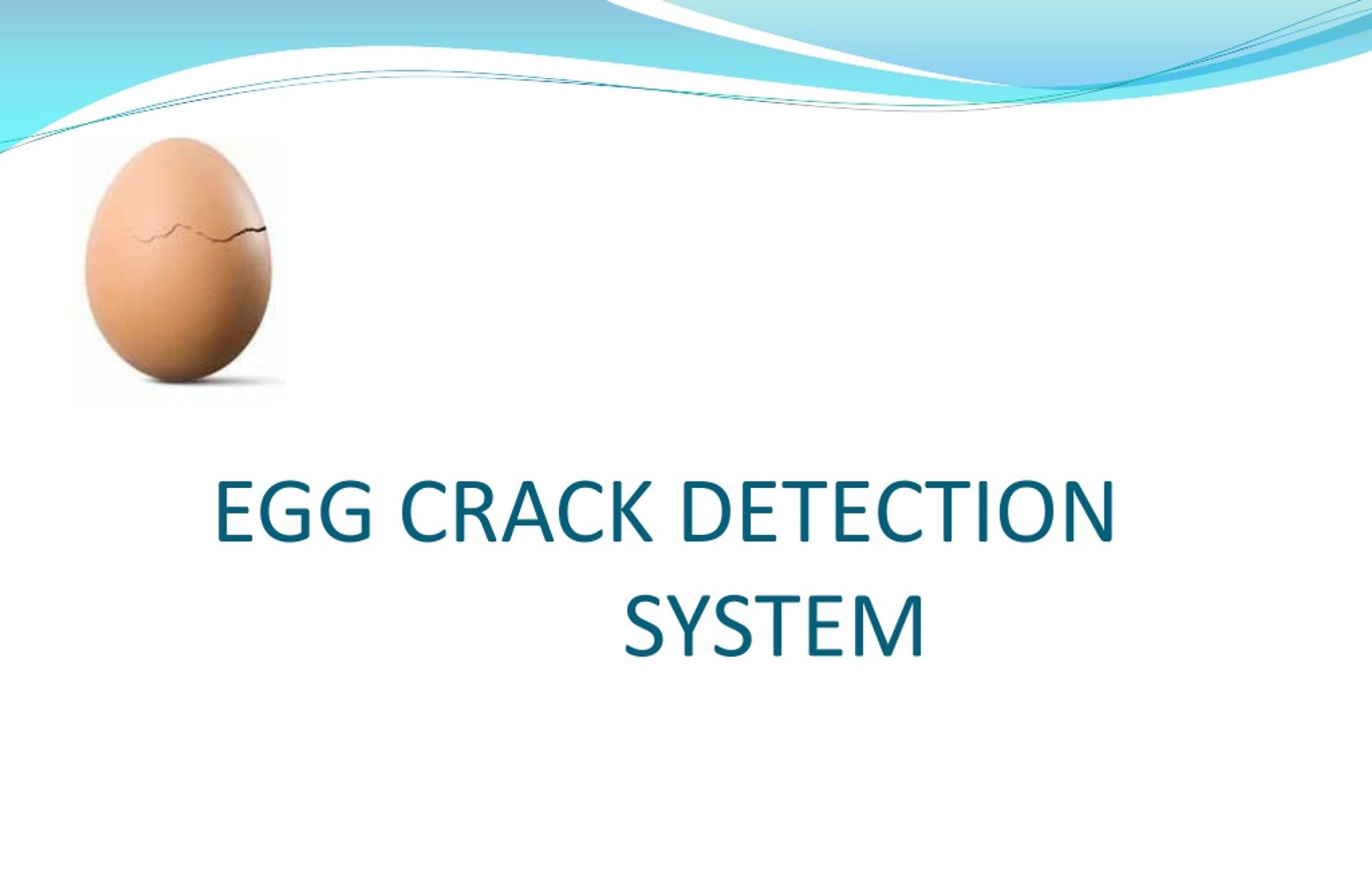 Saurabh Mane Portfolio